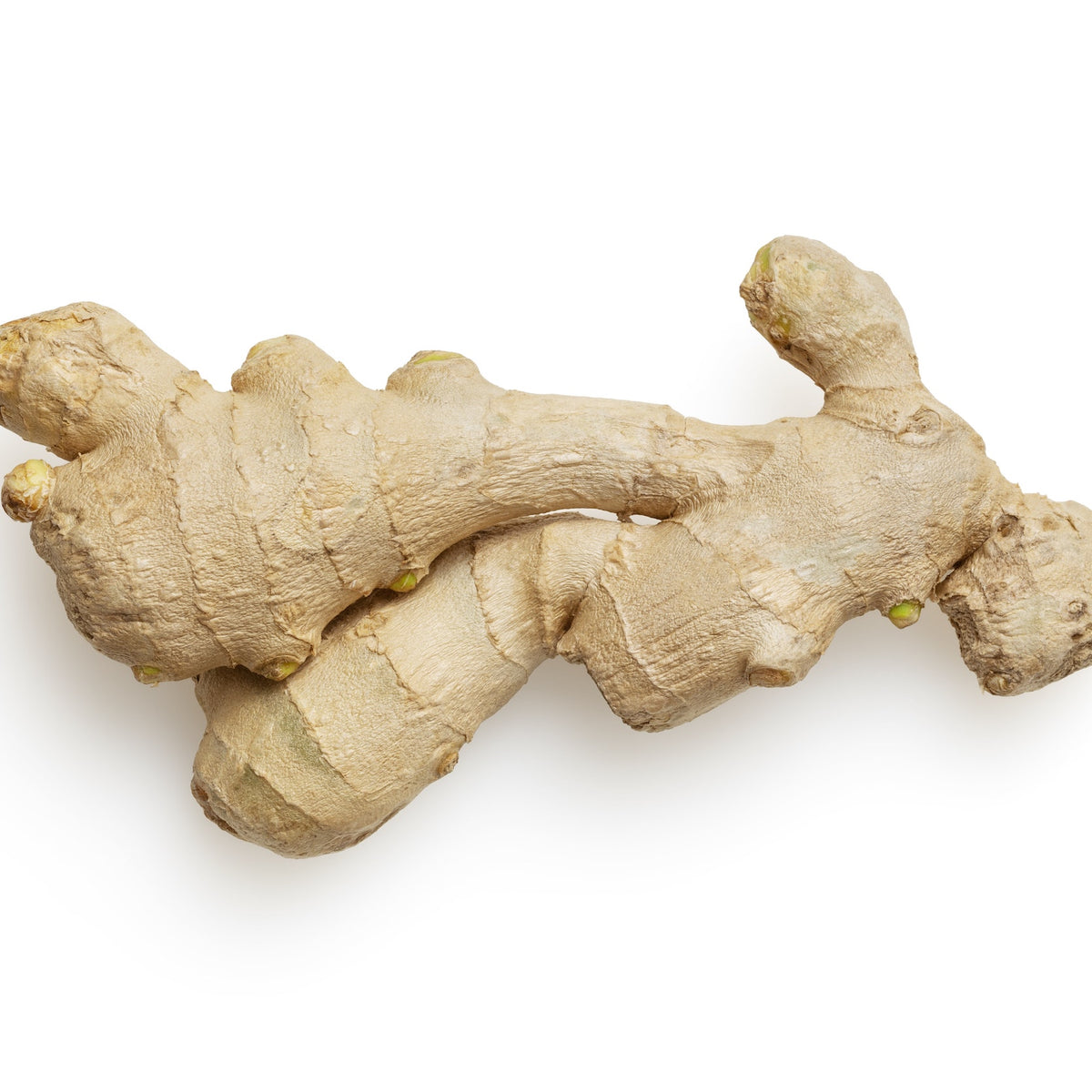 5 Benefits Of Eating Ginger: Weight Loss, IBD, & More – Swolverine