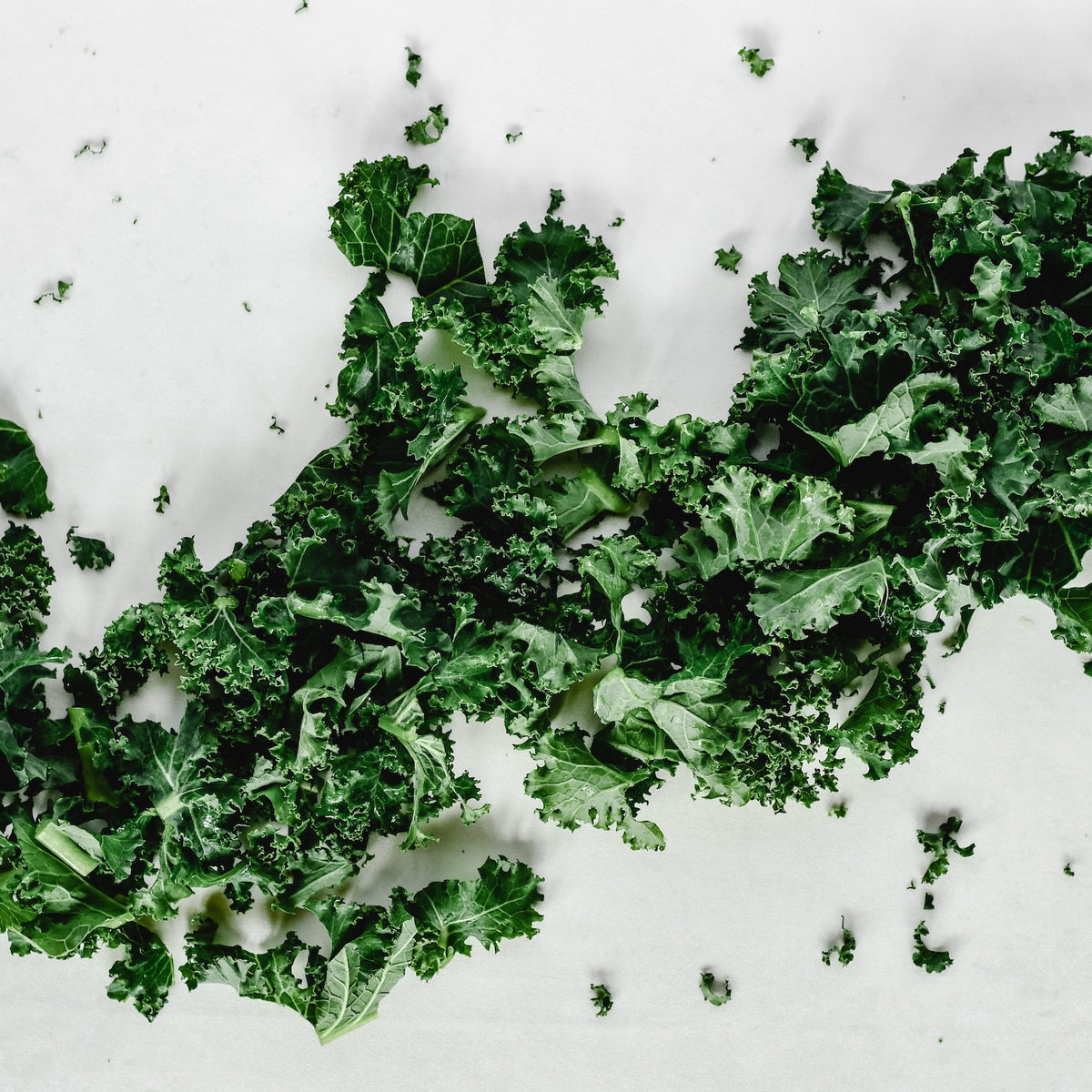The Powerful Properties & Health Benefits Of Kale | Swolverine