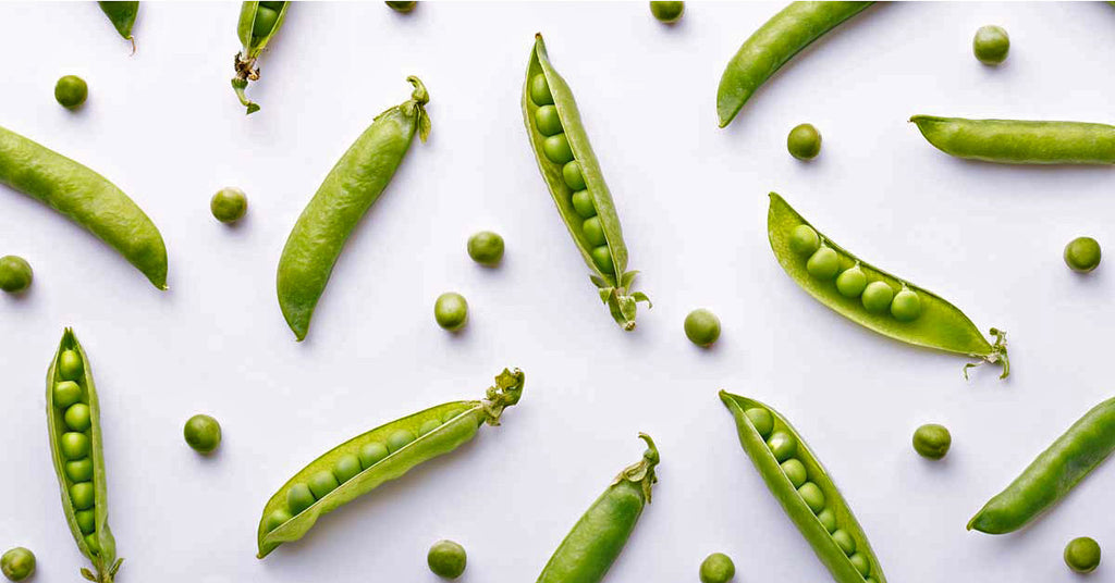 Pea Protein Vs Soy Protein: What Are The Differences?