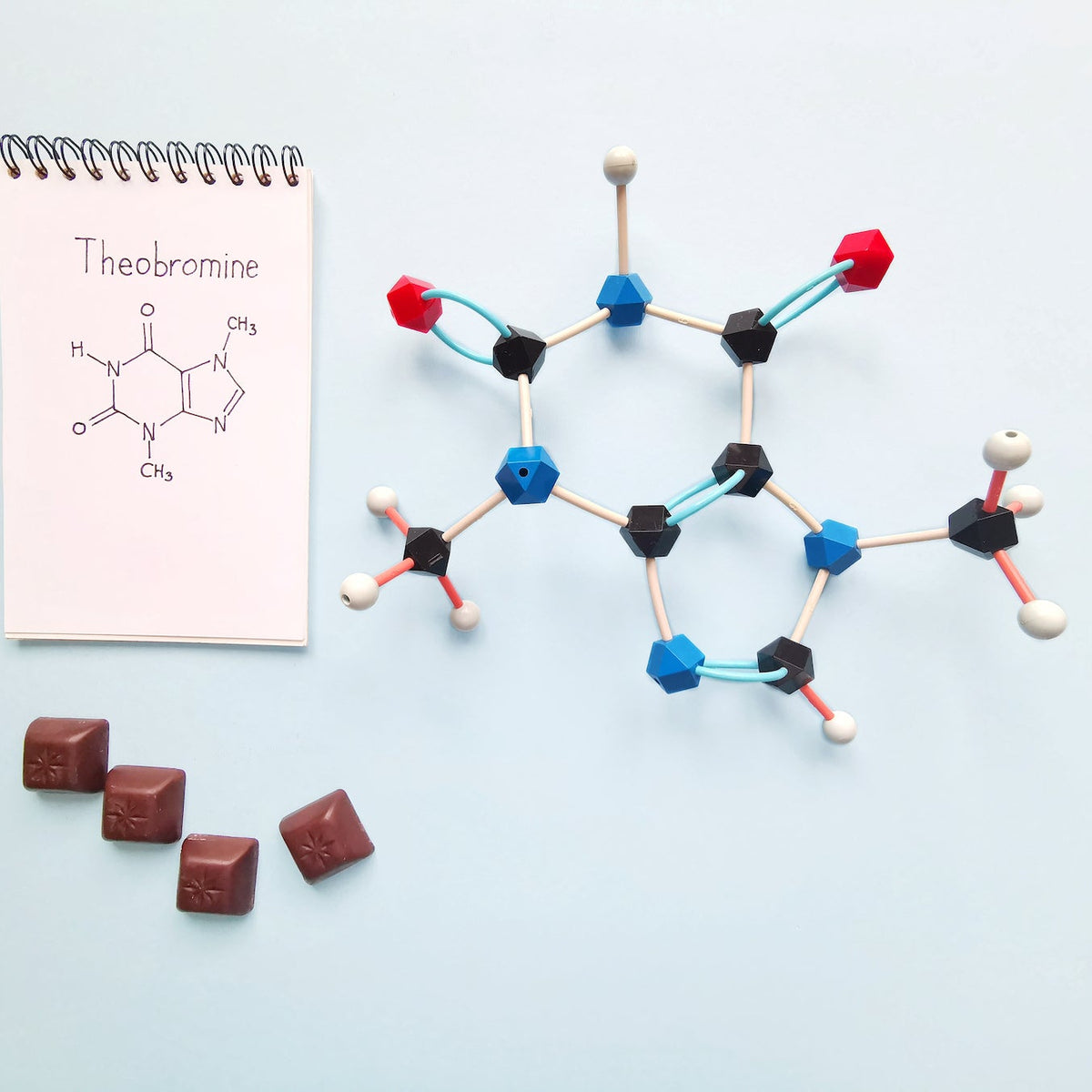 The Complete Guide to Theobromine: How It Works, Benefits, and Potenti ...